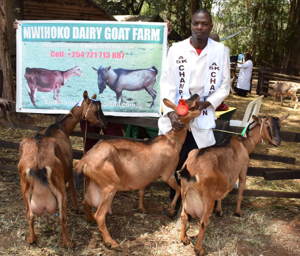 Macharia- the urban dairy goat farmer | Kilimo News