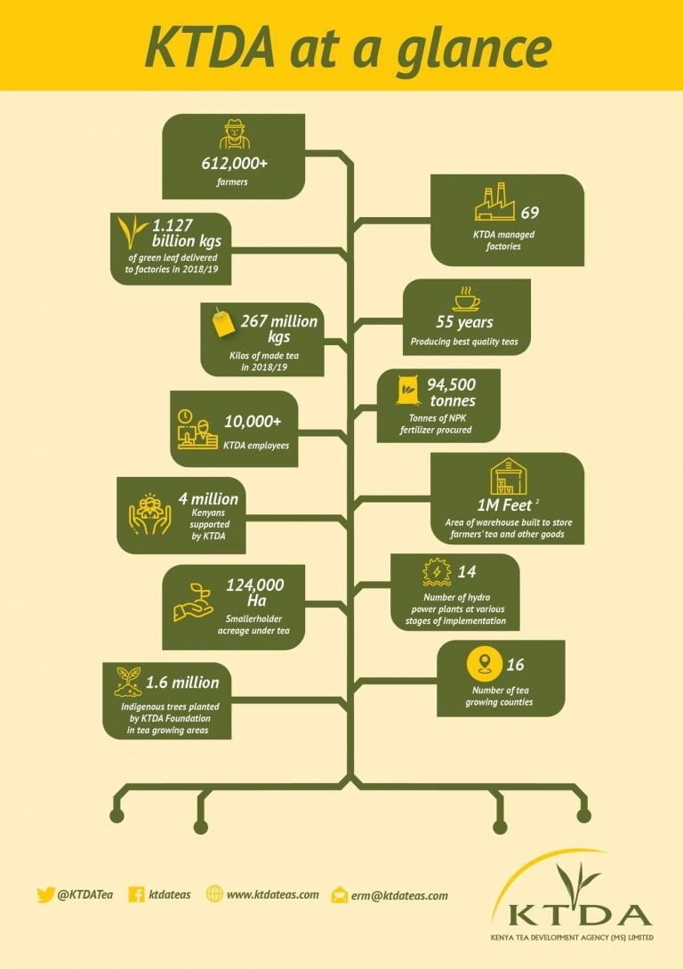 KTDA finally snared by the President | Kilimo News