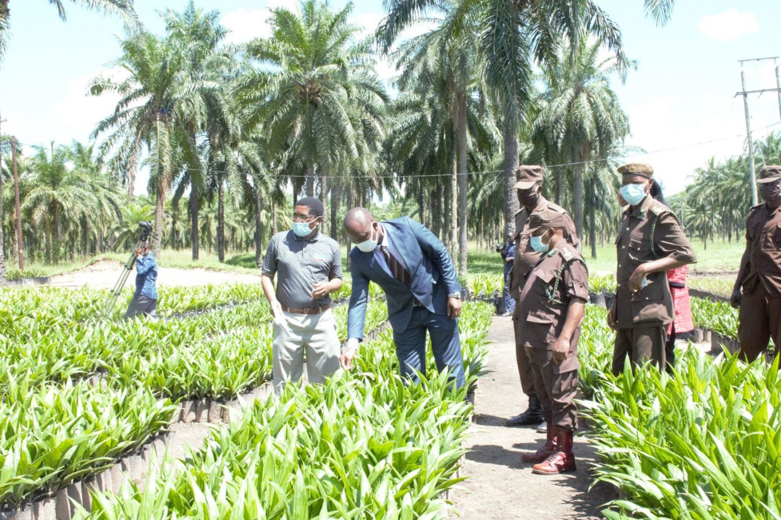 Kusaya: agizo la waziri mkuu kuhusu mbegu bora za michikichi Tanzania ...