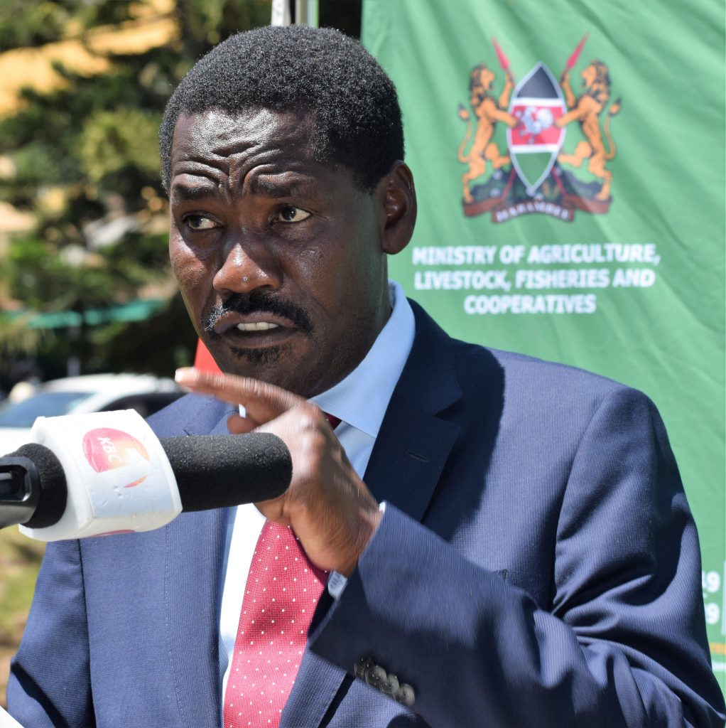 Munya gives Mombasa Tea Auction organizers one month to comply as tea ...