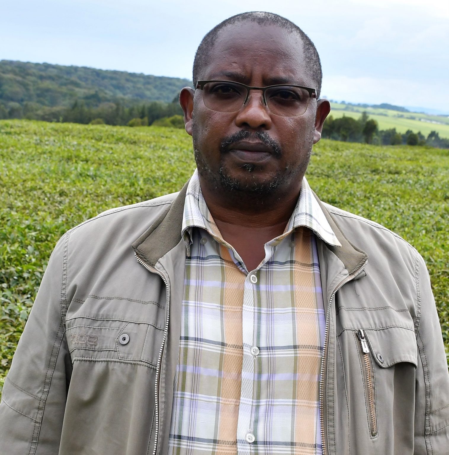 Speciality tea is slowly taking its space in Kenya | Kilimo News