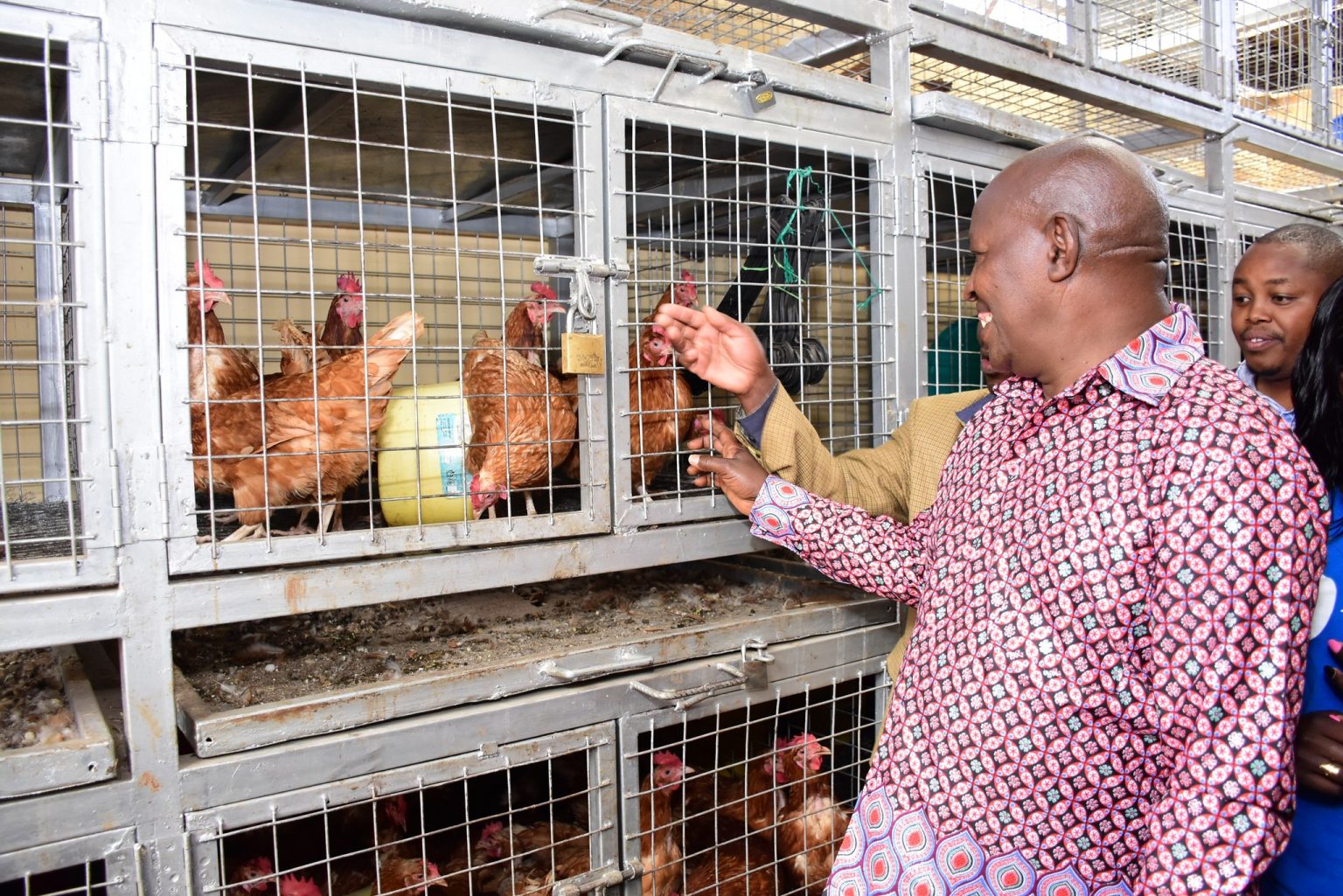 New abattoir for Nyeri poultry sellers | Kilimo News