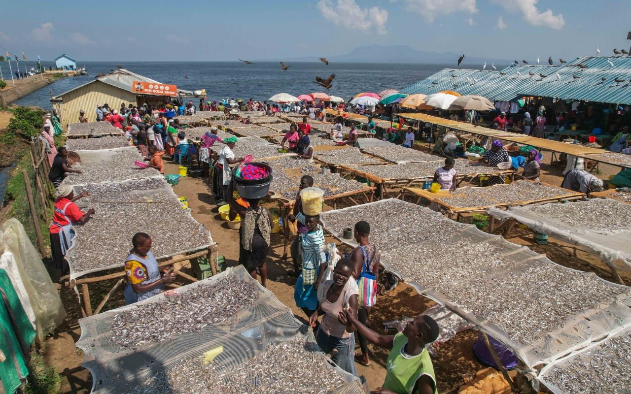 We will add value to fishing for farmers to earn more — President Ruto ...