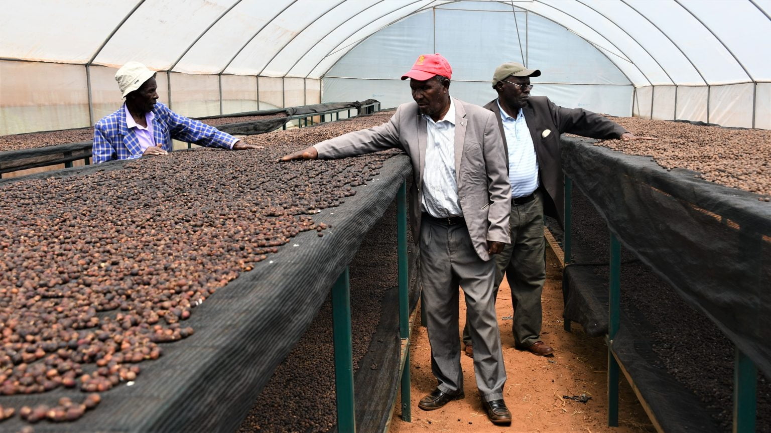 The HK Coffee Market Summary: Sale 17 | Kilimo News