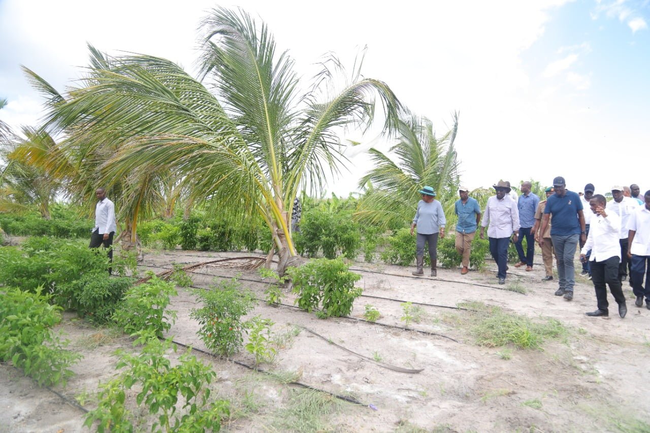 President Ruto's new plan for Galana/Kulalu food project | Kilimo News