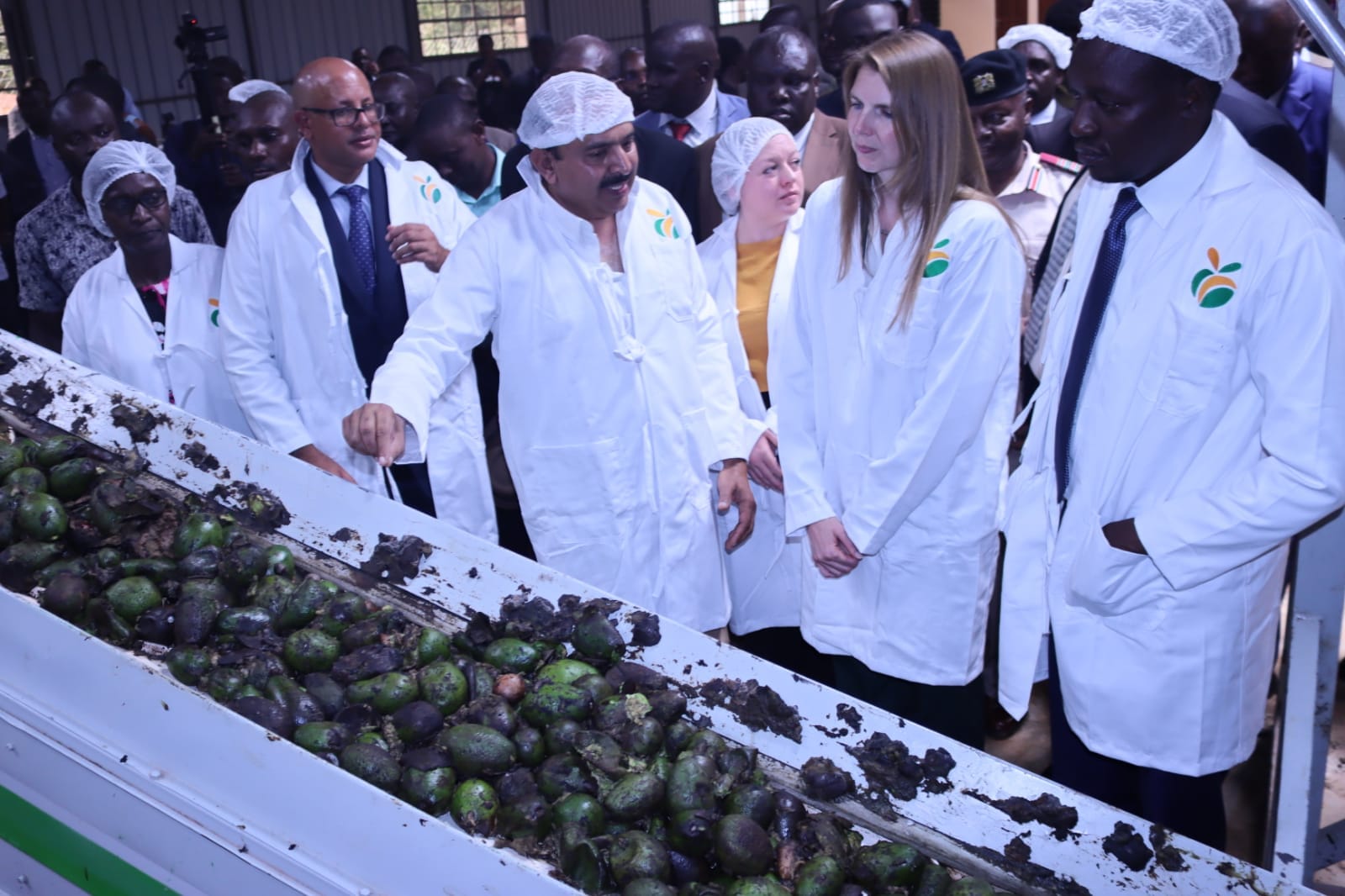 Avocado Processing Plant opened in Kisii | Kilimo News