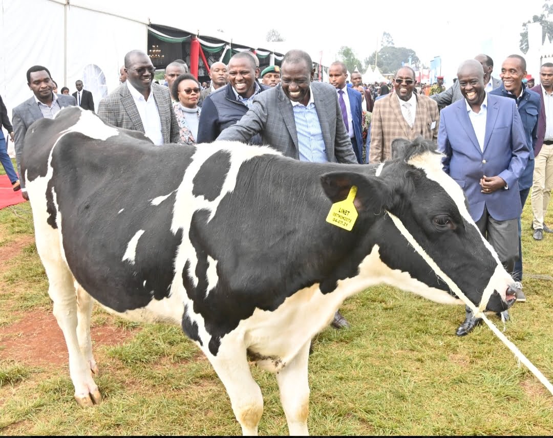President Ruto: We are exploiting agriculture to expand opportunities ...