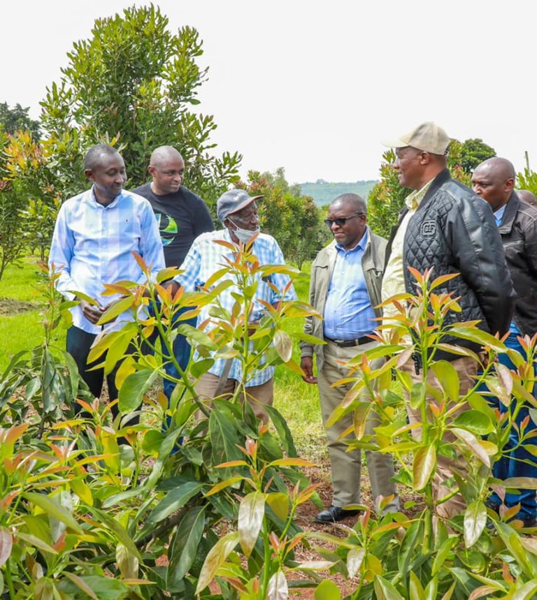 Nyandarua in crop diversification drive | Kilimo News