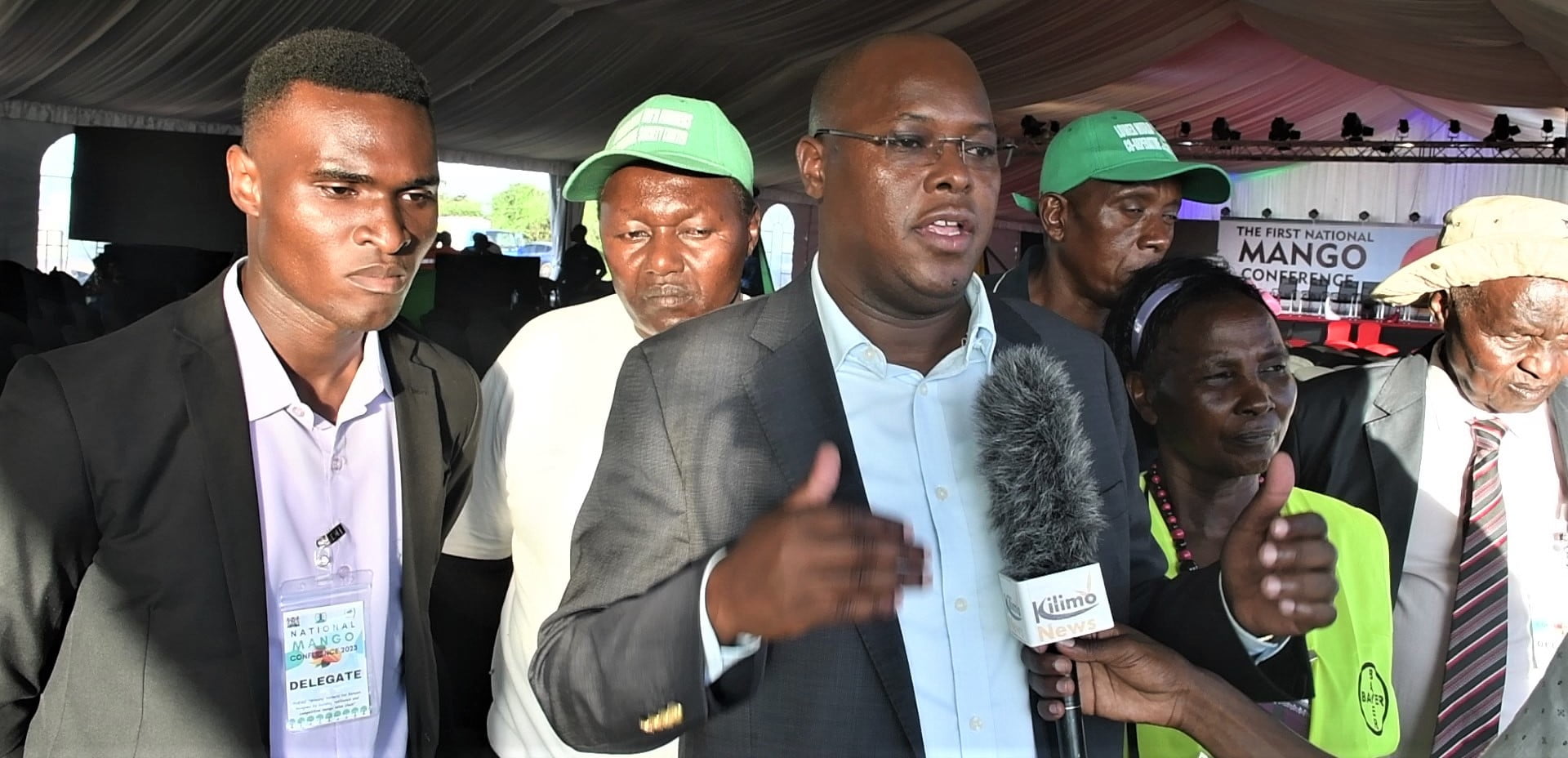 How Murang'a got it right in the mango value chain | Kilimo News