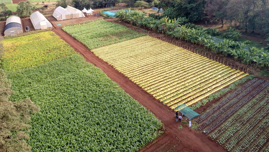 Farm to share Israel knowledge and agricultural solutions opens in Embu ...