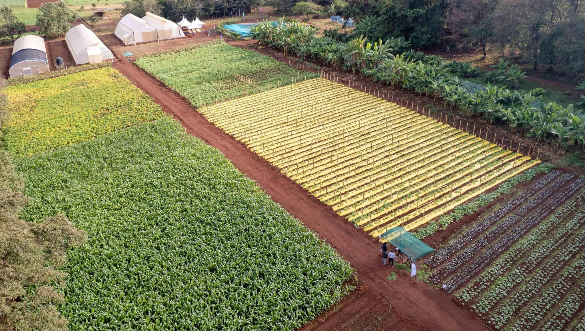 Farm to share Israel knowledge and agricultural solutions opens in Embu Kenya | Kilimo News