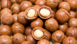 Ministry releases macadamia harvesting and export guidelines | Kilimo News