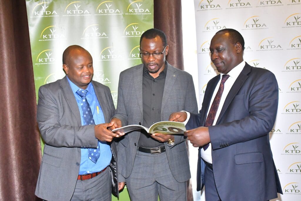 KTDA announces record Kshs 1.04 B divinded payout | Kilimo News