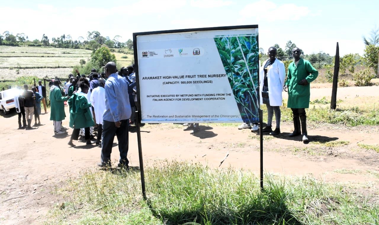 West Pokot Bets on Fruit Tree Nursery to Drive Livelihoods and Restore ...