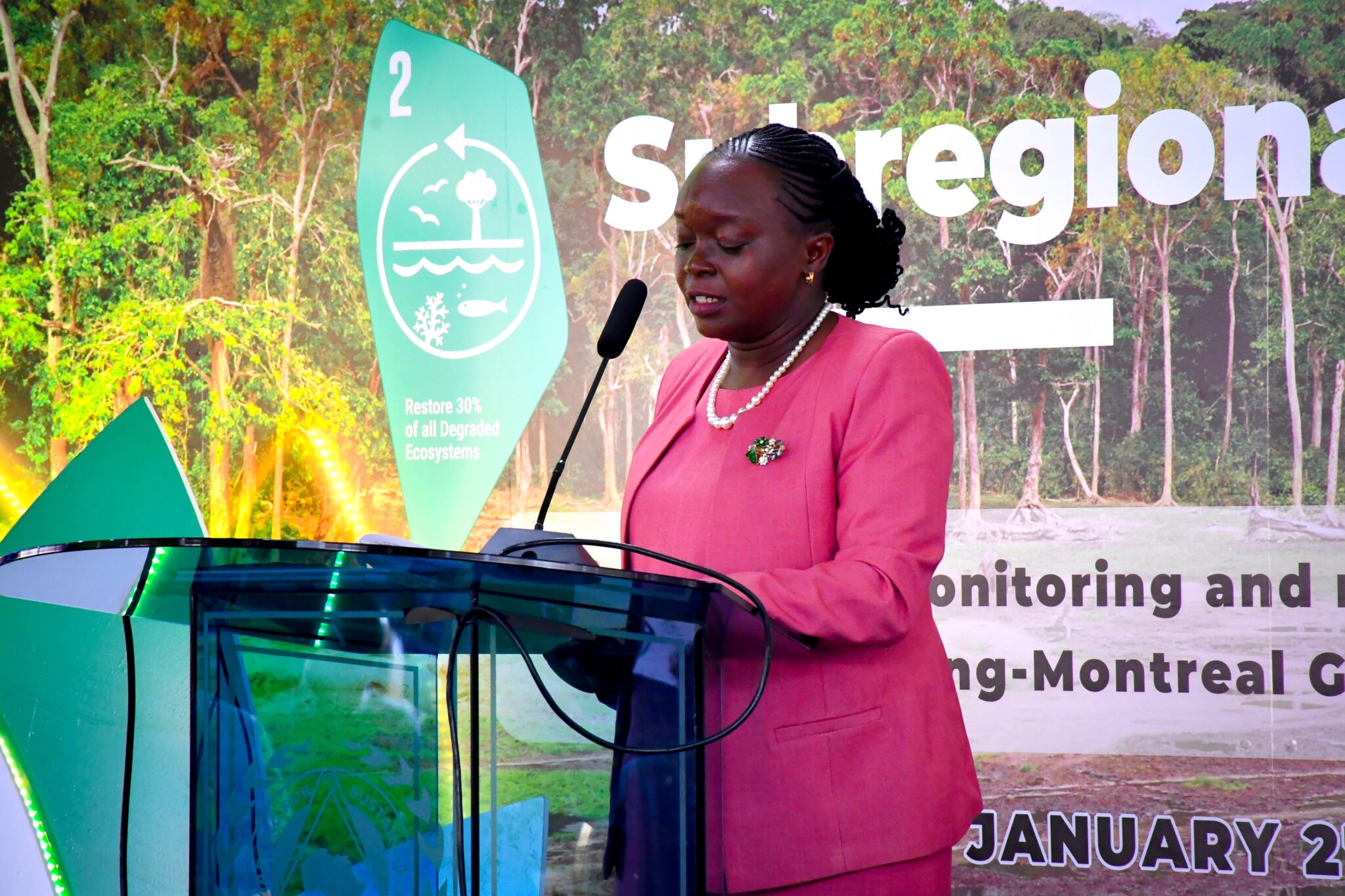 Regional leaders urge faster ecosystem restoration backed by strong ...